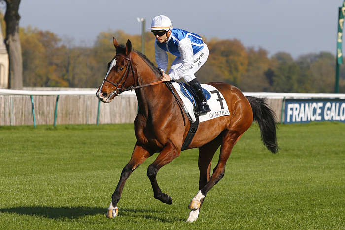 Pronostic quinté gratuit Qatar Prix du Jockey Club 2025